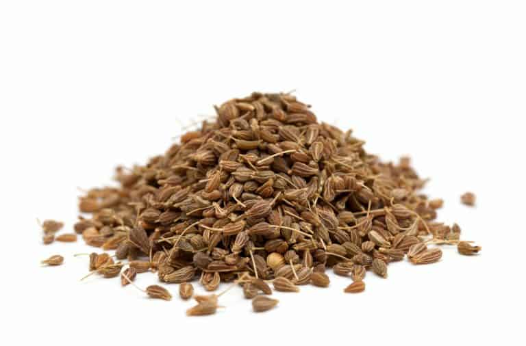 10 Best Lactogenic Foods for Increasing Your Milk Supply - Pregnancy ...