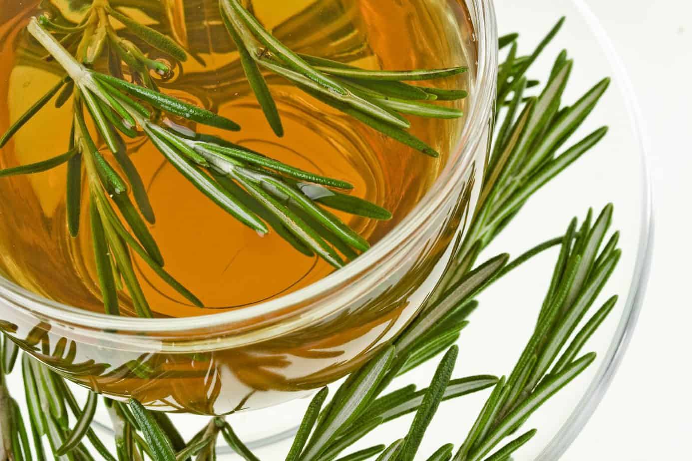 Is Rosemary Safe During Pregnancy? Tea, Oils and Extracts Explained ...